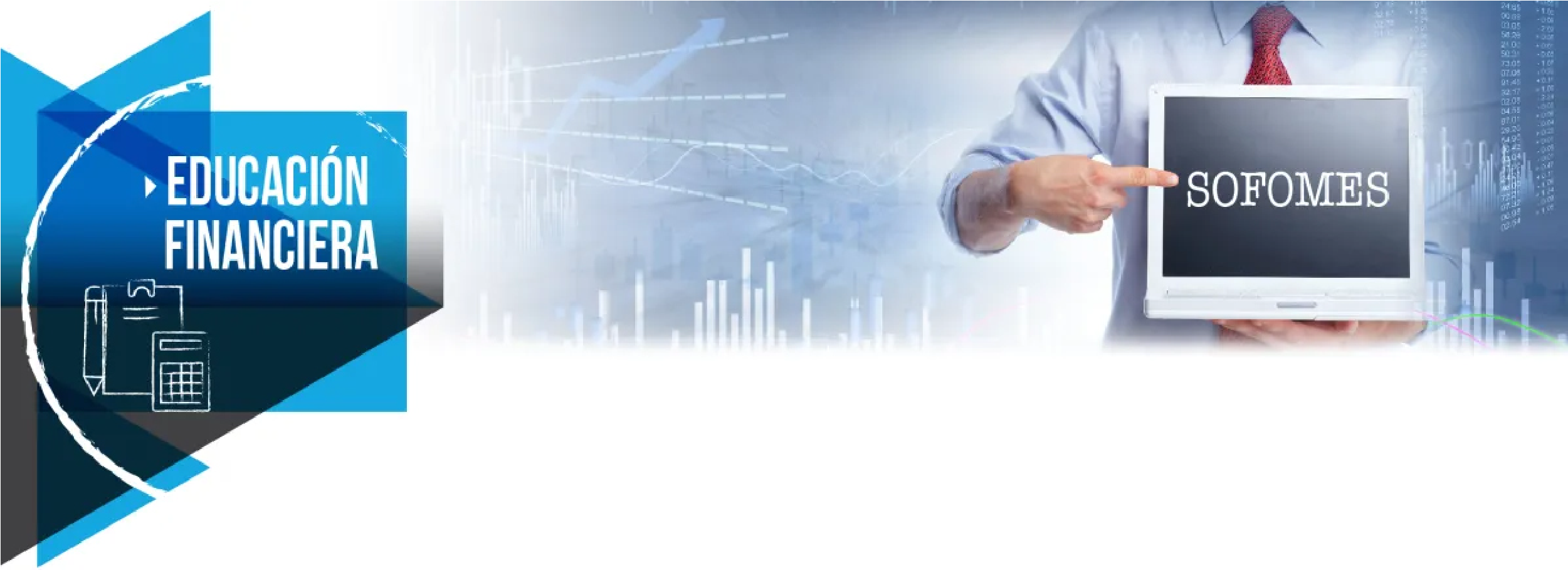 Tendencias Sofomes Mcbridecorp